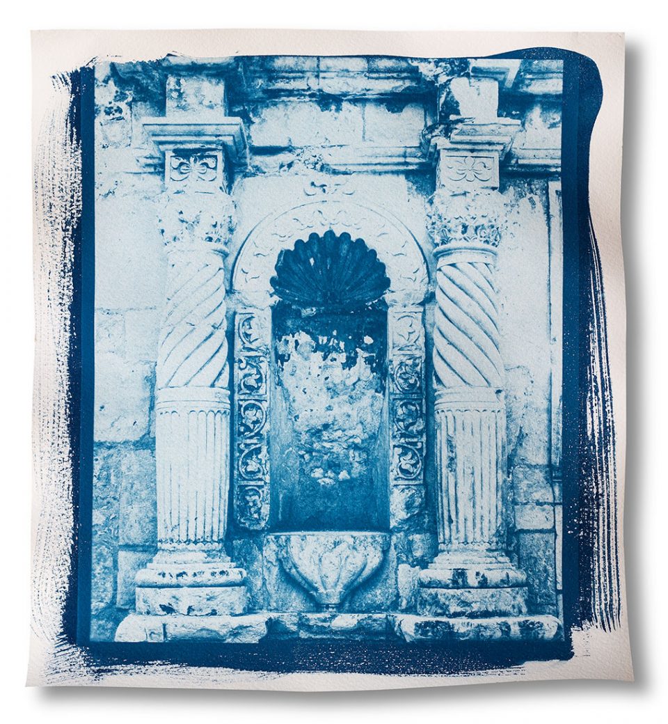 Toning Cyanotype Prints with Tea Tannins - Shadows and Light