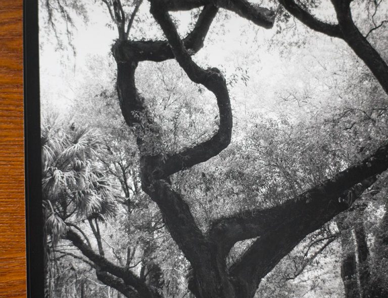 keith dotson releases limited edition darkroom prints of charleston big ...