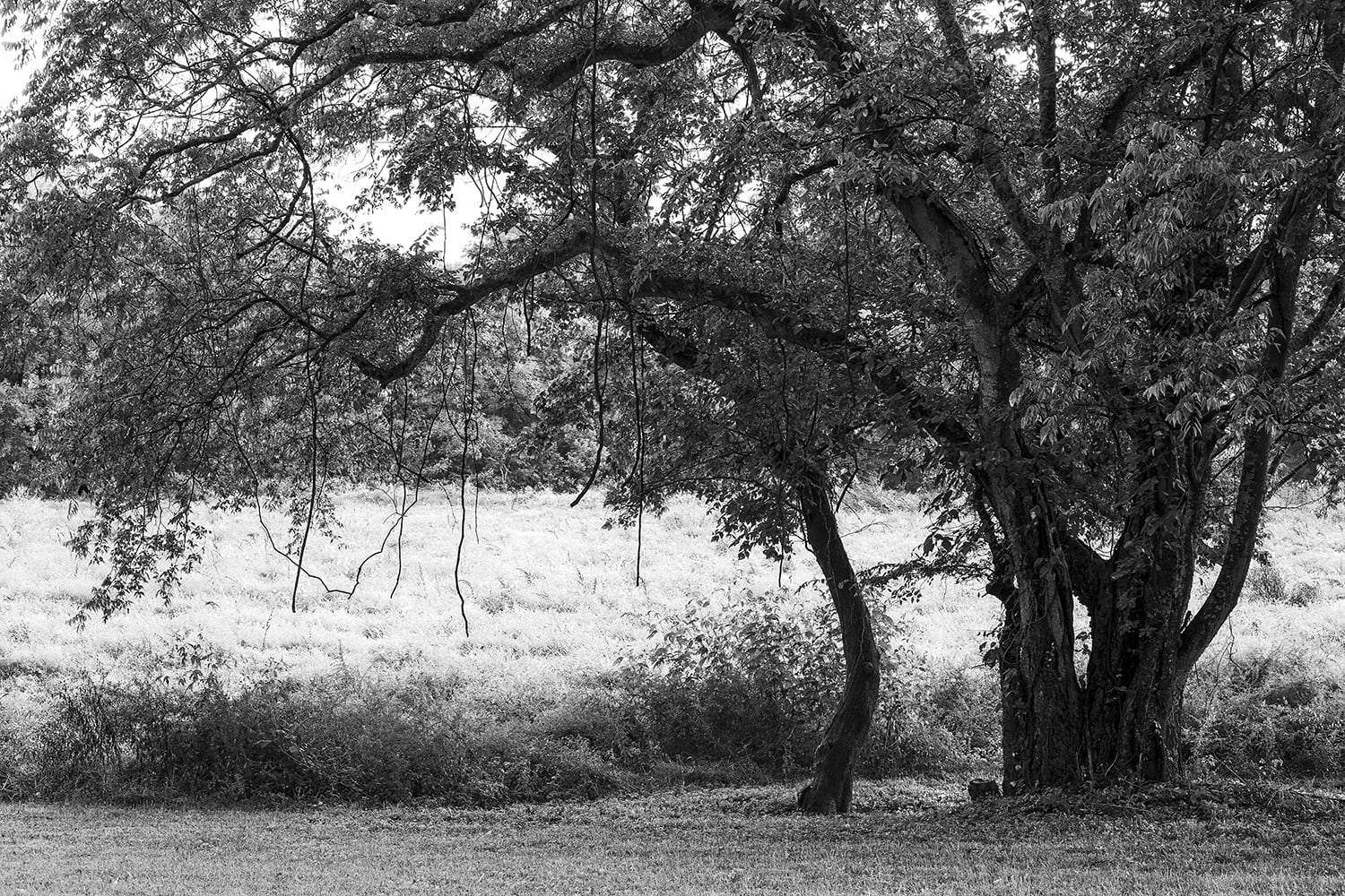 [Video] Landscape photography at an ancient Native American mound site ...