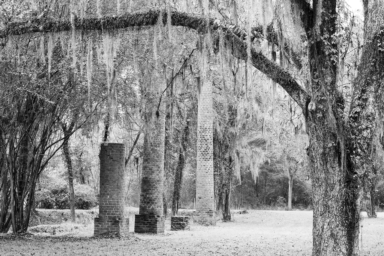 Video tour of Old Cahawba Ghost Town - Shadows and Light