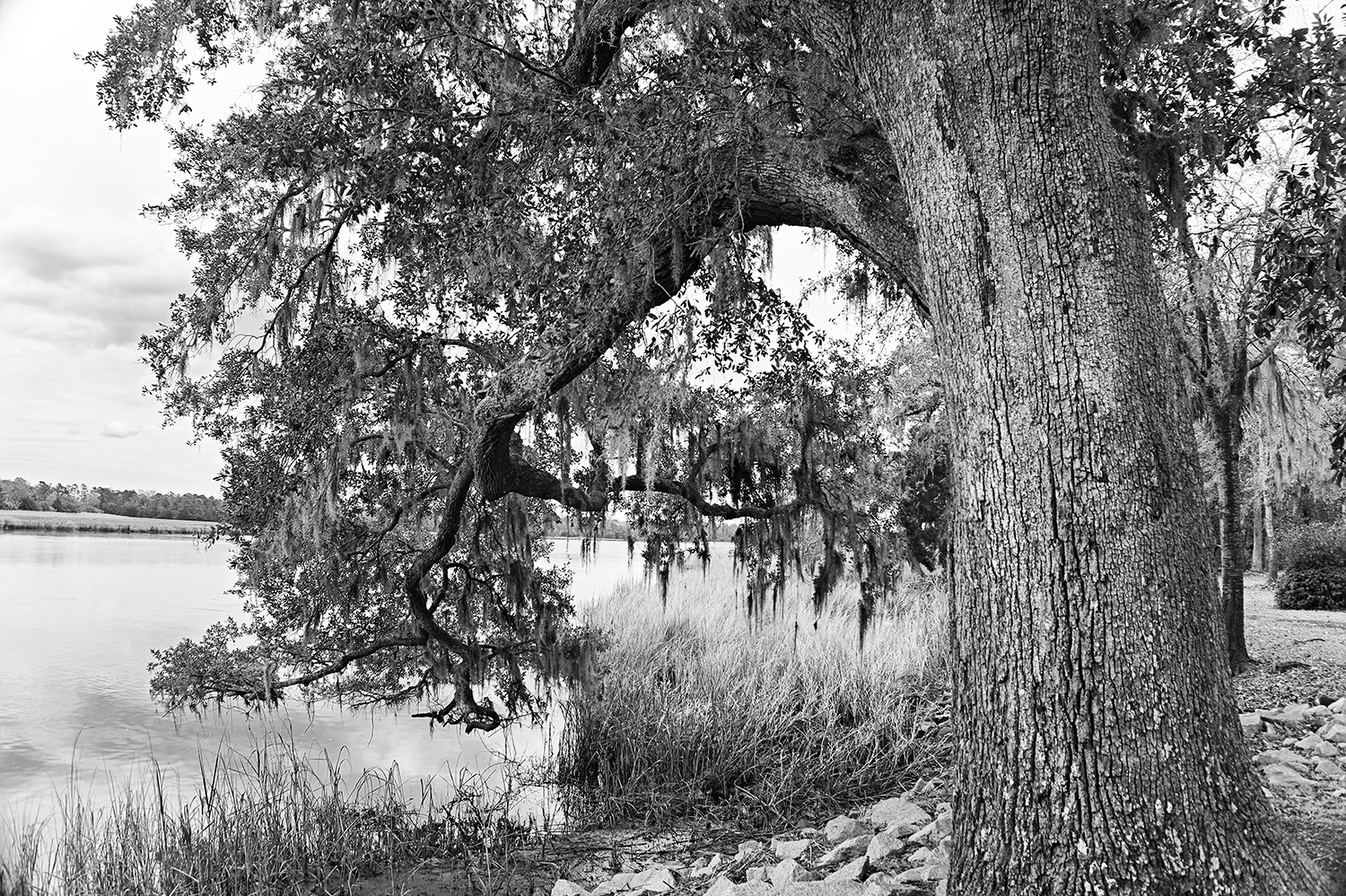 Fine art photographer Keith Dotson explains why he's thankful this ...