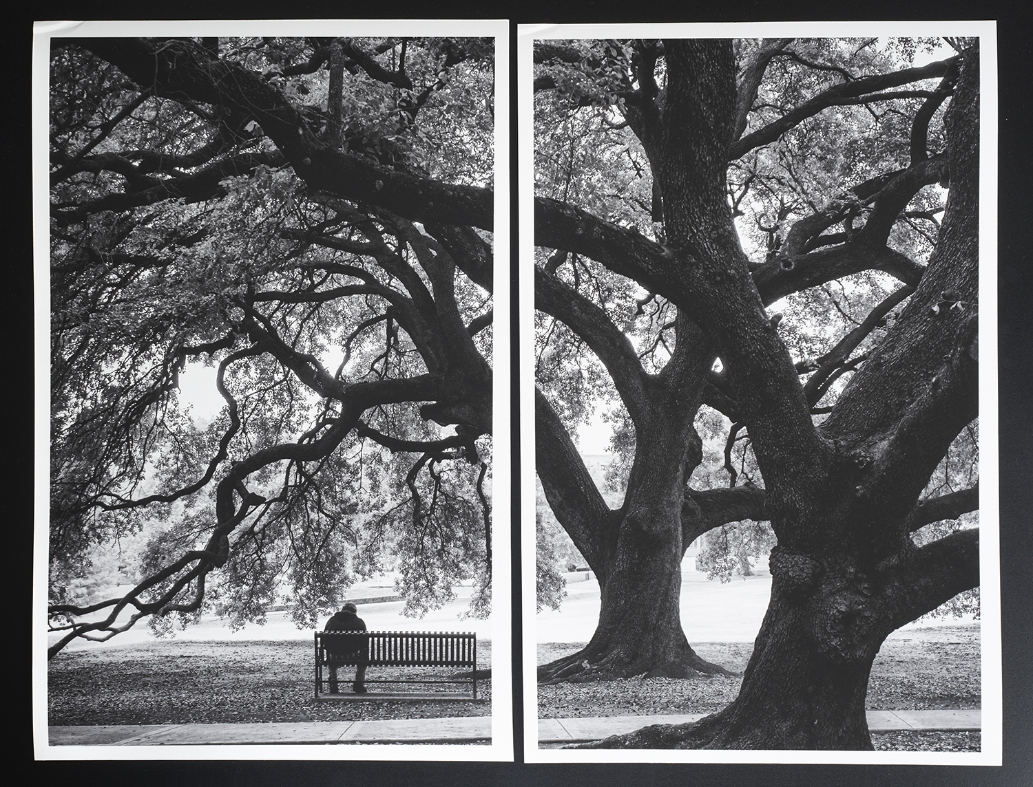 Keith Dotson artist proofs for sale at special price - Shadows and Light