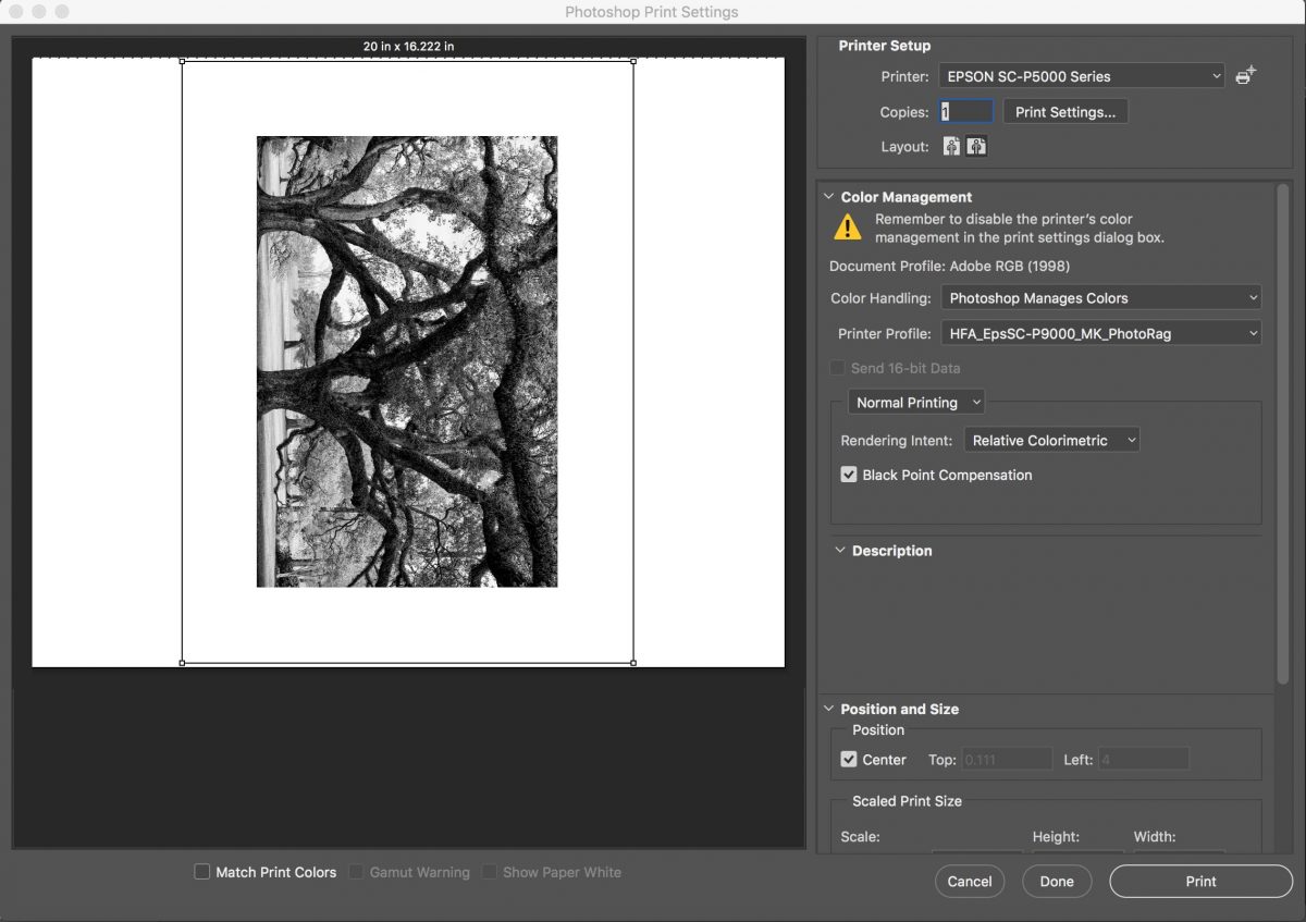 Best Epson printer settings for Hahnemühle Photo Rag Matt - Shadows and ...