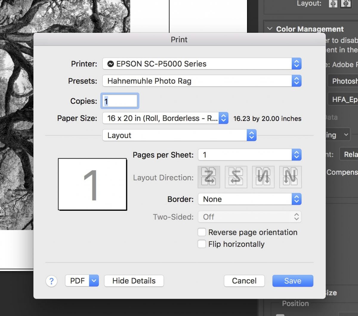 Best Epson printer settings for Hahnemühle Photo Rag Matt - Shadows and ...