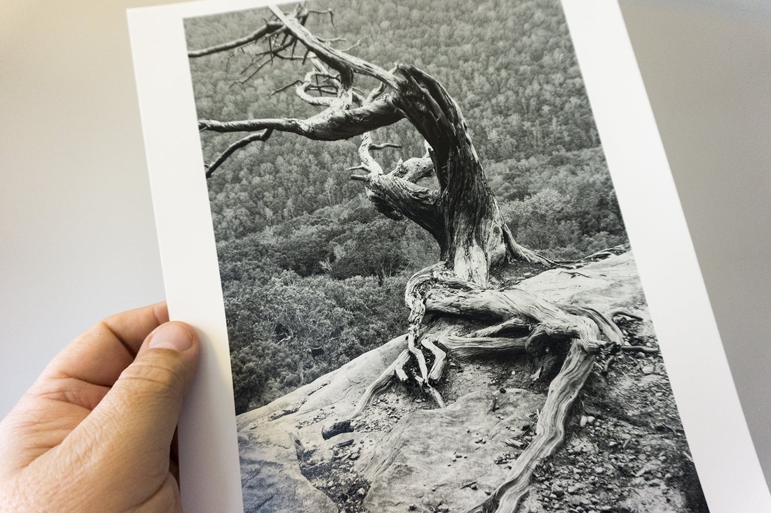 Digital Silver Gelatin Fiber Based Papers Compared: Glossy vs New Matte ...