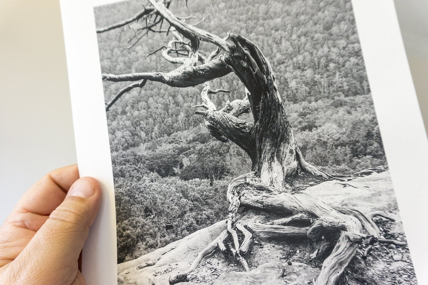 Digital Silver Gelatin Fiber Based Papers Compared: Glossy vs New Matte ...