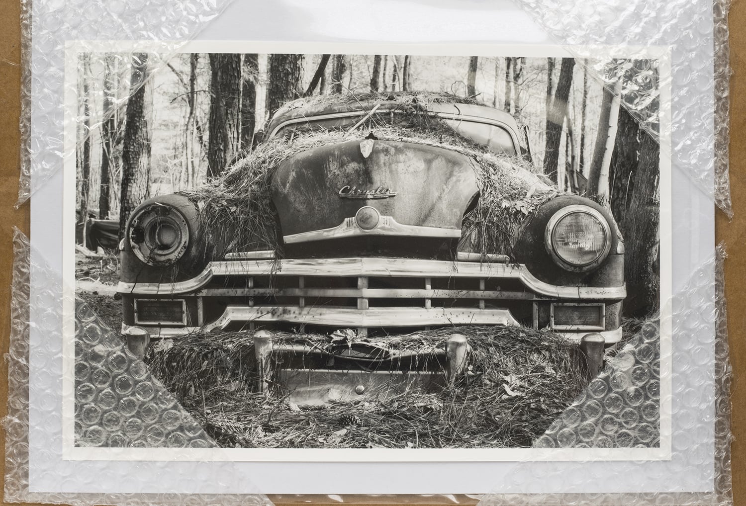Artist Proof: Real selenium toned black and white baryta print ...