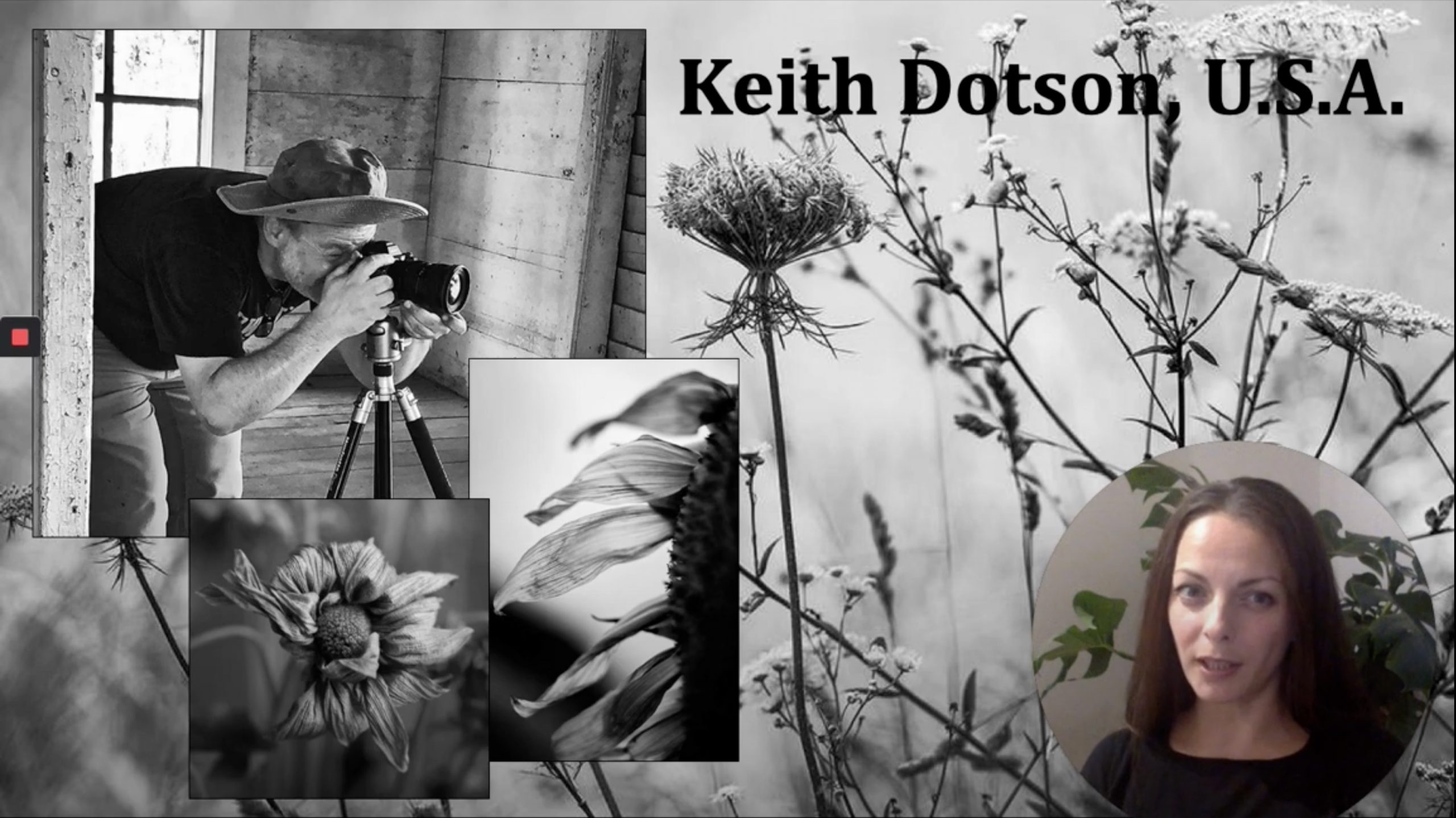 Video: Watch an art teacher in the UK analyze nature photographs by ...