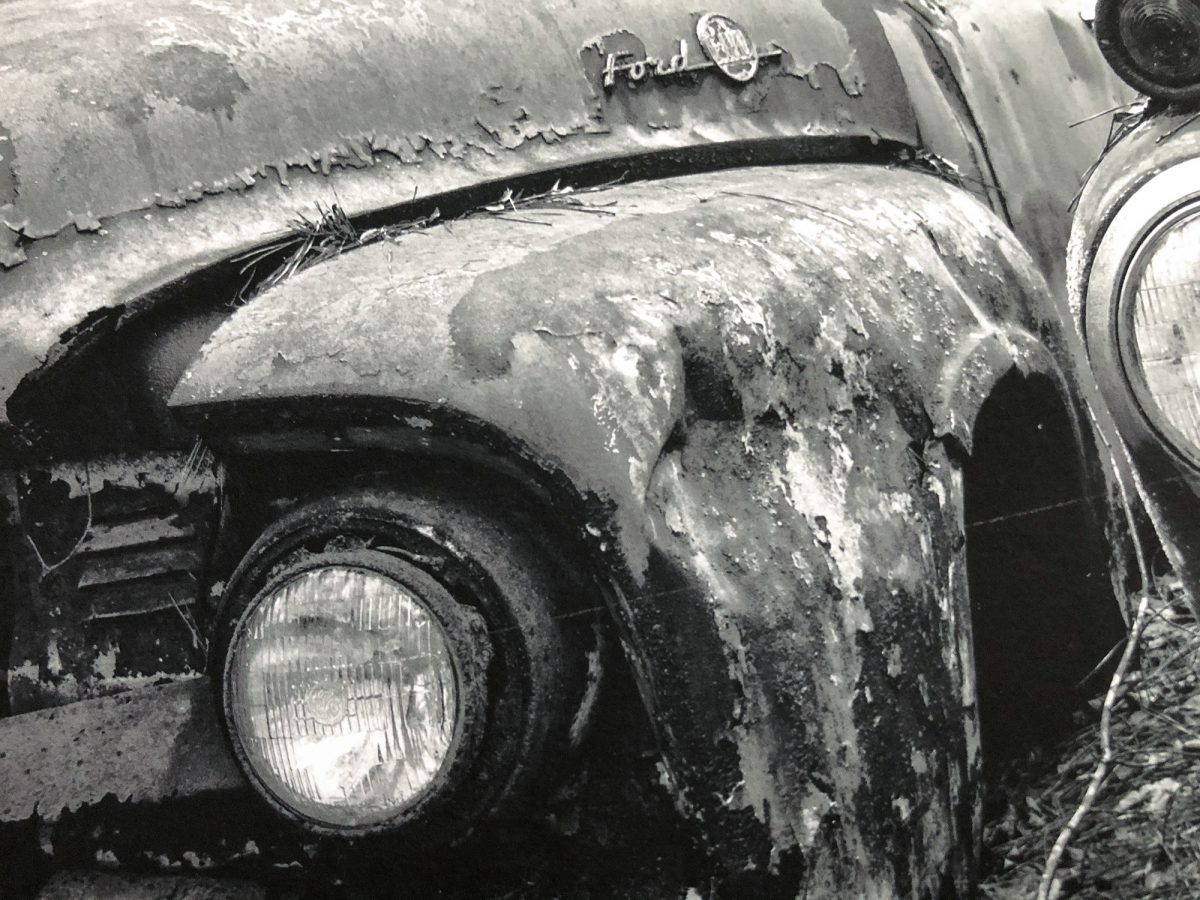 Five Hahnemühle Photo Papers Compared - Shadows and Light