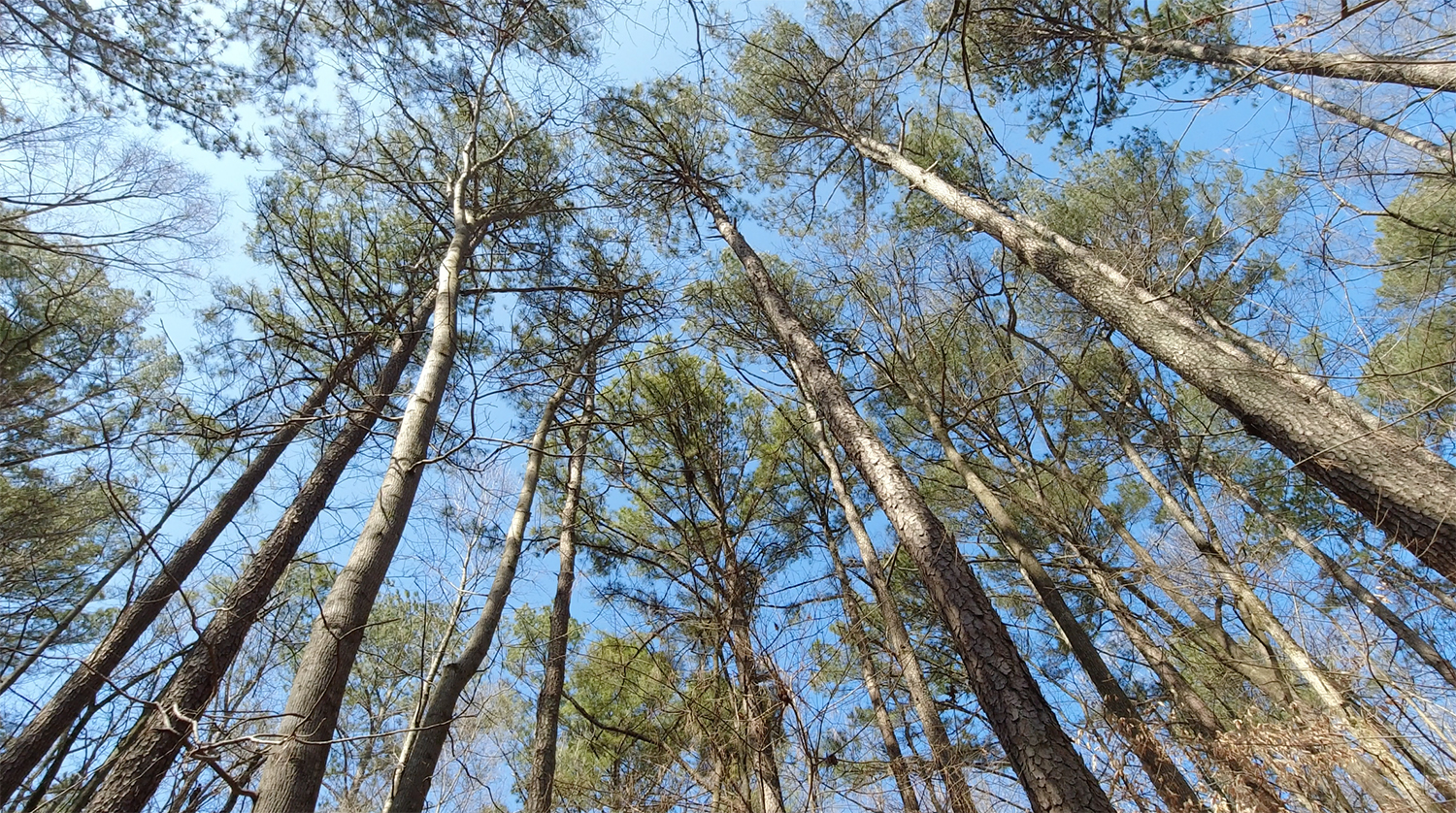 Moccasin Bend National Archeological District Archives - Shadows and Light