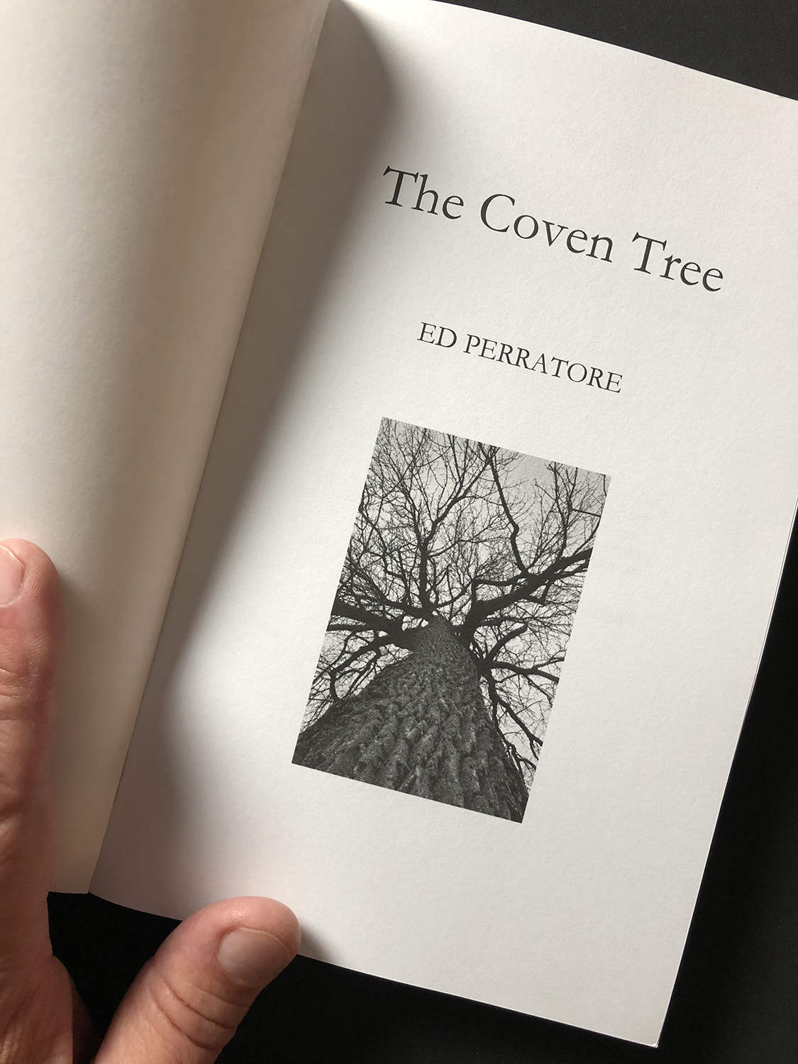 My Photograph Giant Cottonwood Tree in Winter is on a Book Cover ...