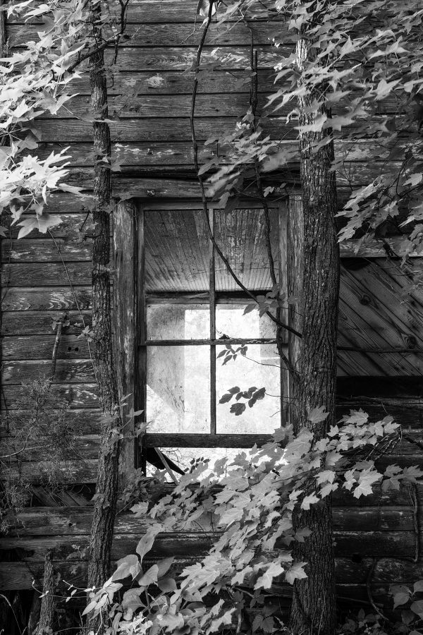 A Walking Tour of the Ghost Town at Union Level, Virginia (with Video ...