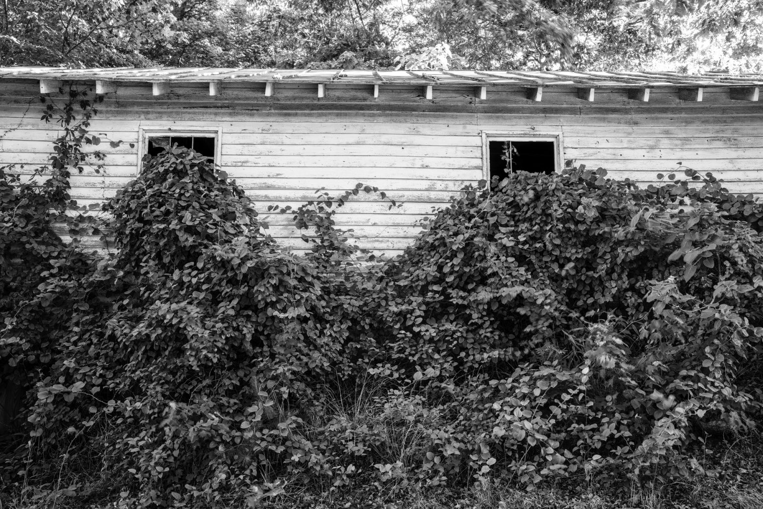 A Walking Tour of the Ghost Town at Union Level, Virginia (with Video ...