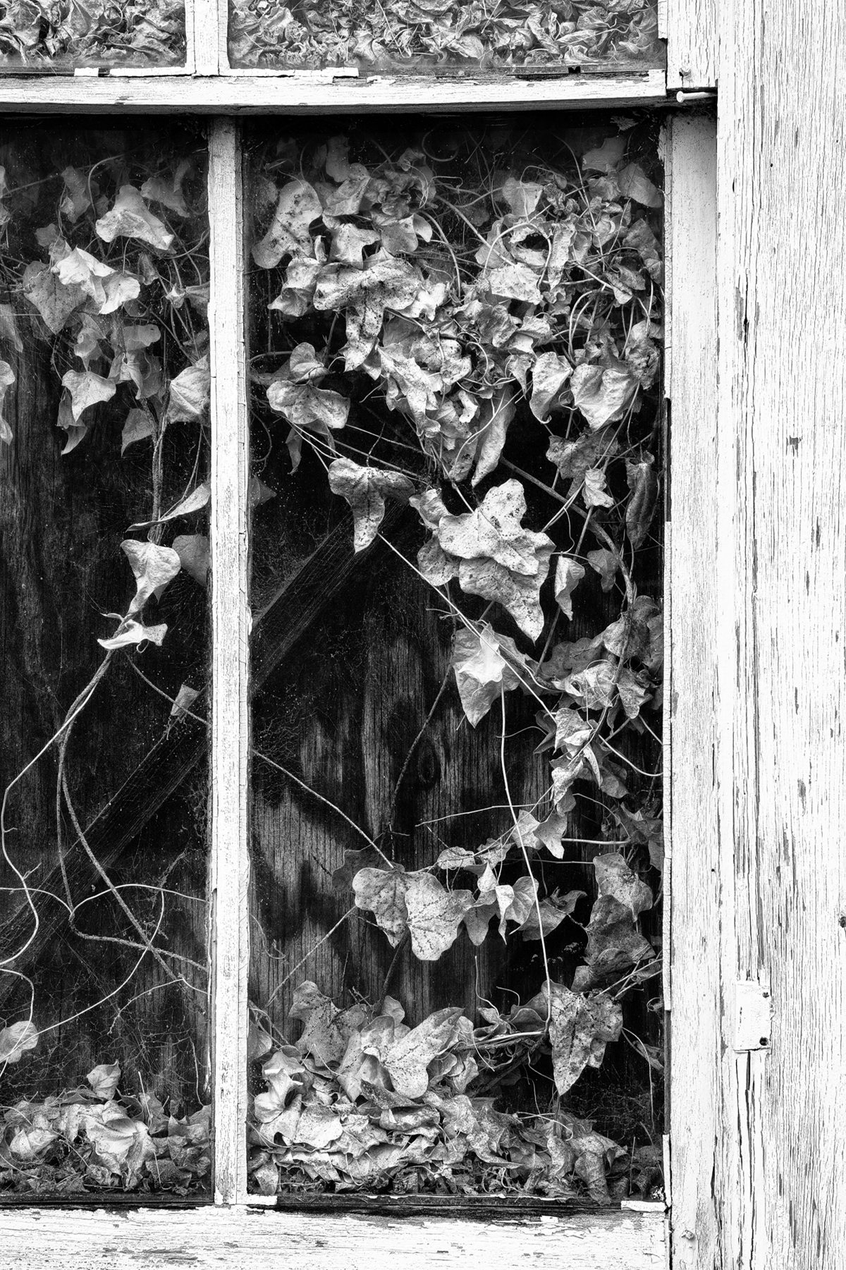 Newbern, Alabama: Walking in the Footsteps of William Christenberry ...