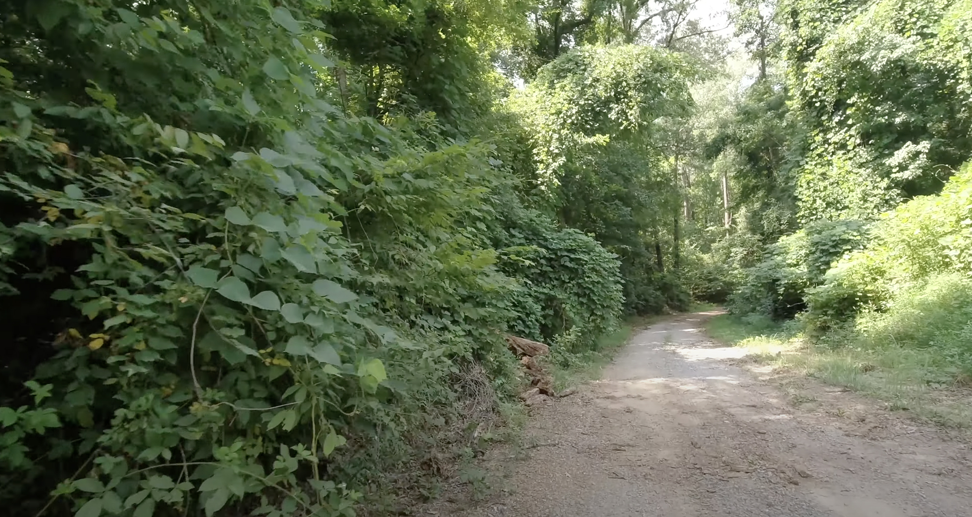 A Ride on the Hidden Old Rodney Road, Built in the Early 1800s ...