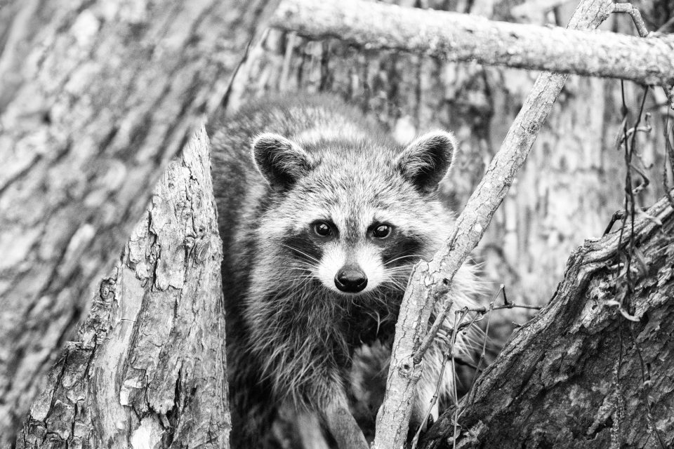 Shadows and Light - KEITH DOTSON'S OFFICIAL FINE ART PHOTOGRAPHY BLOG