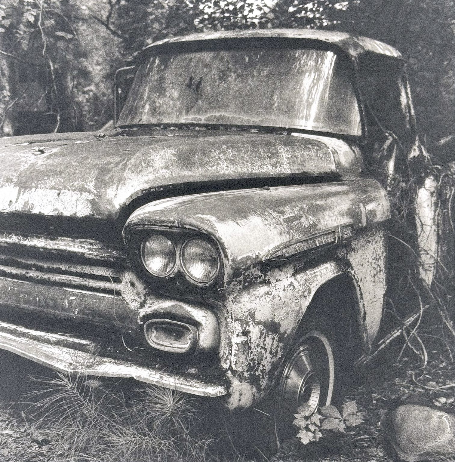 Beginner's Guide to Platinum-Palladium Printing - Shadows and Light